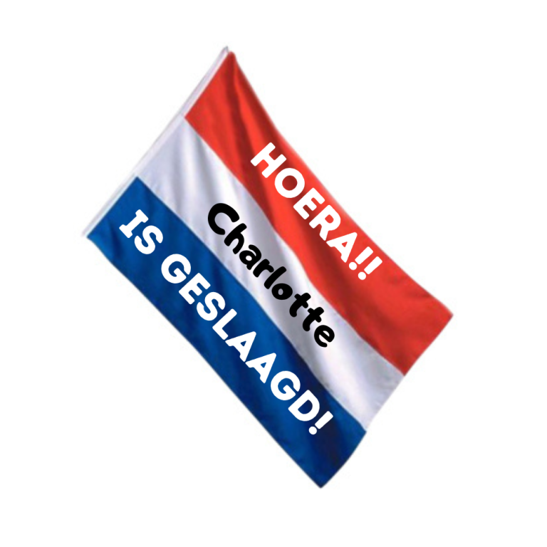 Geslaagd - Indrukmakers